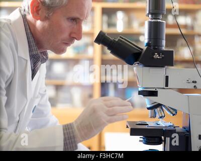 Scientist analyzing microscope slide at laboratory. Young woman ...