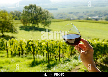 Glass of red wine exposed towards the sun Stock Photo - Alamy