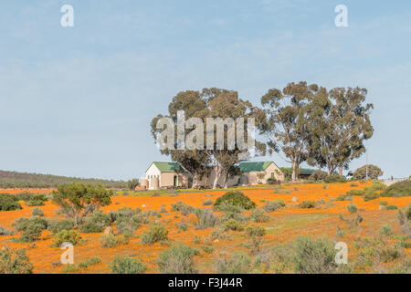 SKILPAD, SOUTH AFRICA - AUGUST 18, 2015: The restaurant and offices of ...