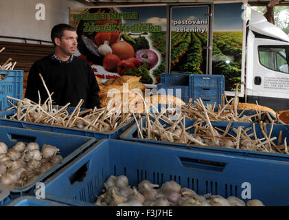 Zdenek Hrdlicka's family farm in Dolanky nad Ohri, near Litomerice ...