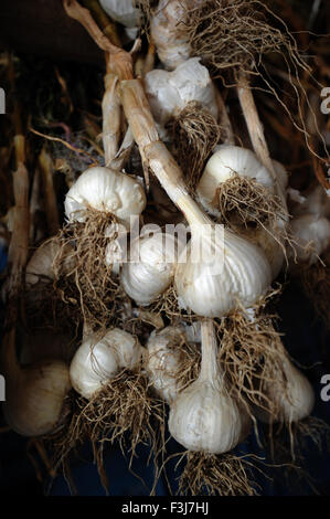 Zdenek Hrdlicka's family farm in Dolanky nad Ohri, near Litomerice ...