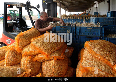 Zdenek Hrdlicka's family farm in Dolanky nad Ohri, near Litomerice ...