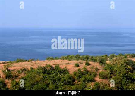 Beautiful beach with dense greenery near Shrivardhan, Konkan coast ...