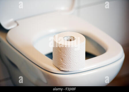 Potsdam, Germany. 07th Oct, 2015. ILLUSTRATION - A clean toilet bowl in ...