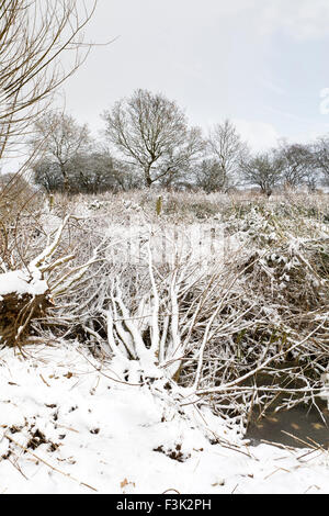 Snow in Norfolk Dyke Stock Photo - Alamy
