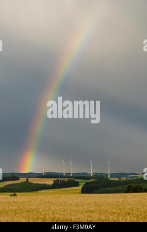 Wind power plants behind a grainfield against dark sky with rainbow ...
