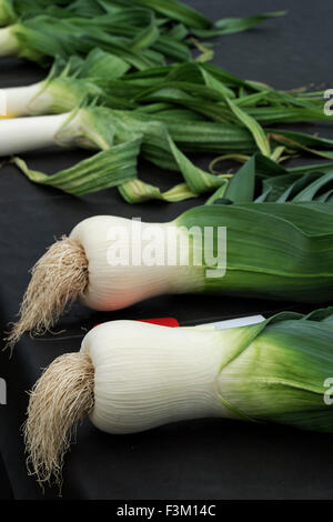 Giant Leeks at a vegetable show Stock Photo: 47854863 - Alamy