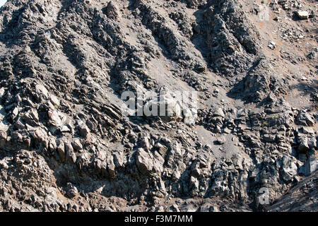 Basalt mine in Hungary Stock Photo - Alamy