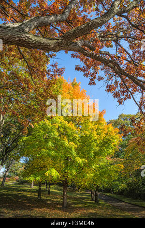 high park Toronto fall Stock Photo - Alamy