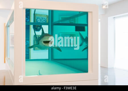 Heaven, a large shark suspended in a tank filled with a formaldehyde ...