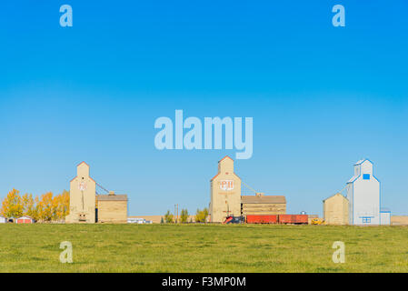 Grain Elevators at Mossleigh, Alberta, Canada Stock Photo - Alamy