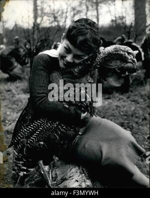 Phyllis Kirk Film: House Of Wax (USA 1953) Characters: Sue Allen ...