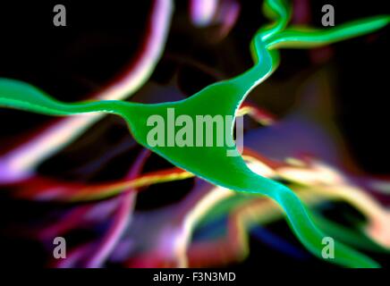 Cerebral cortex nerve cell, illustration Stock Photo - Alamy