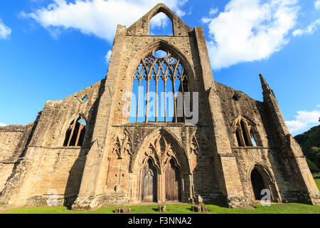 The ruined arched windows of Tintern Abbey, Monmouthshire, Wales Stock ...
