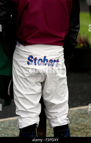 Stobart sponsorship on a jockey`s breeches, Towcester Races, UK Stock ...