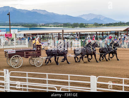 Yoder family, Amish, parade in their wagon, pulled by six Percheron ...