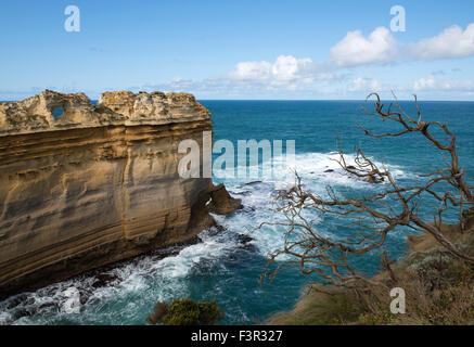 The Razorback limestone rock formation, adjacent to the Great Ocean ...