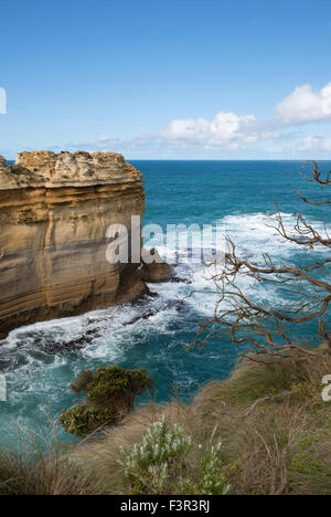 The Razorback limestone rock formation, adjacent to the Great Ocean ...
