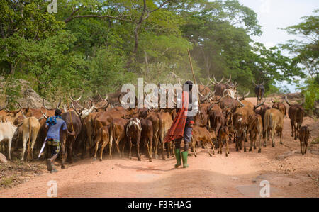 Shepherd of the Sukuma tribe, Western Tanzania, Africa Stock Photo - Alamy
