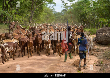 Shepherd of the Sukuma tribe,Western Tanzania,Africa Stock Photo - Alamy