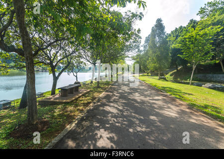 Garden street with direct sunlight Stock Photo - Alamy