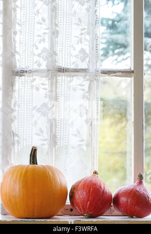 Assortment of different pumpkins on window sill Stock Photo - Alamy