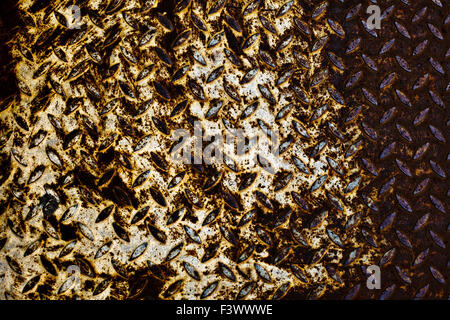 rusted eisenplatte iron plate Stock Photo - Alamy