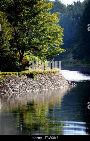 Autumn scenes at Entwistle Reservoir, Blackburn, Lancashire. The Wader ...