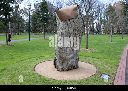 Scarred Tree in Fitzroy Gardens, Melbourne Stock Photo - Alamy