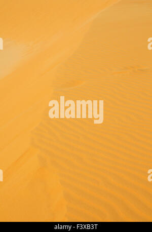Sand Drift at the Beach Stock Photo - Alamy