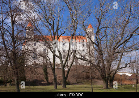 Stary Hrad - ancient castle Stock Photo - Alamy