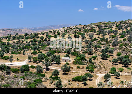 Typical cyprus nature landscape Stock Photo - Alamy