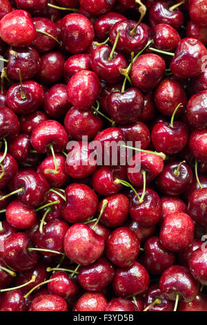 Macro shot of freshly picked cherries in a black ceramic bowl. Bright ...