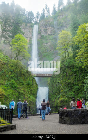 Multnomah Falls in the Columbia River Gorge, USA Stock Photo - Alamy