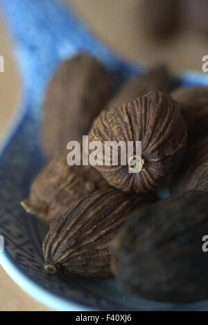 Close up of oil of Black cardamom with its powder and raw whole black ...