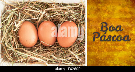 Composite image of boa pascoa Stock Photo - Alamy