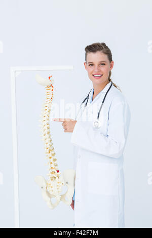 Smiling doctor pointing an anatomical spine Stock Photo - Alamy
