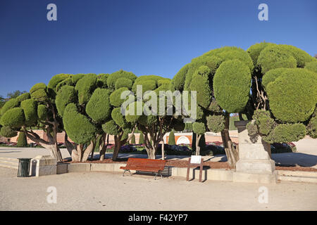 A Front or back yard Garden Topiary Forms and Topiary Art and craft. A ...