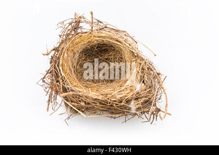 Real bird nest isolated on white background Stock Photo - Alamy