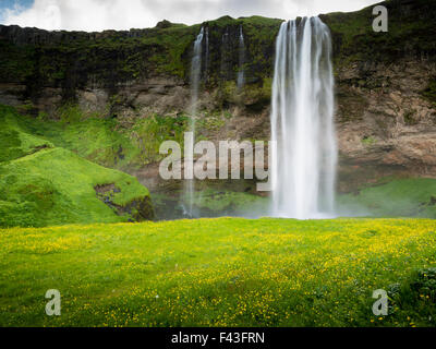 A waterfall cascade over a sheer cliff and wildflower meadows Stock ...