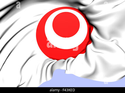 Symbol of Okinawa Prefecture, Japan. Close Up Stock Photo - Alamy