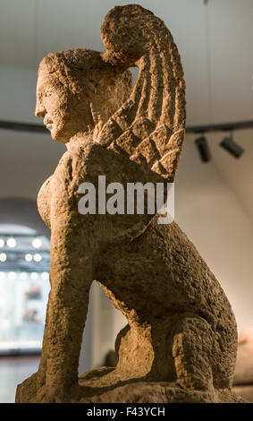 Sphinx or harpy Stock Photo - Alamy