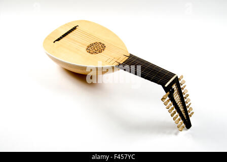 A lute is a plucked string instrument with a neck (either fretted or ...