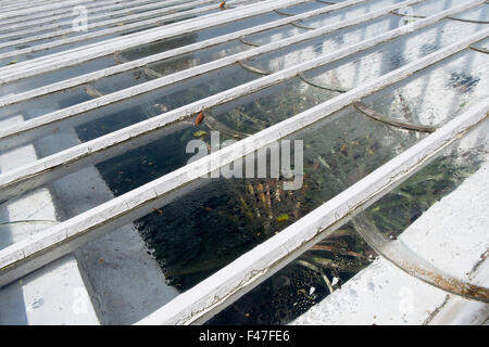 The Pineapple Pit in The Melon Yard at The Lost Gardens of Heligan ...