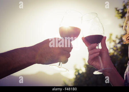 Happy couple toasting with red wine on a cozy terrace near a geodesic ...