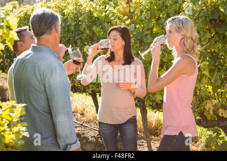 happy friends drinking red wine at christmas party Stock Photo - Alamy