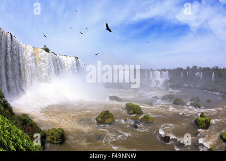 Waterfalls and birds. Brazil Stock Photo - Alamy