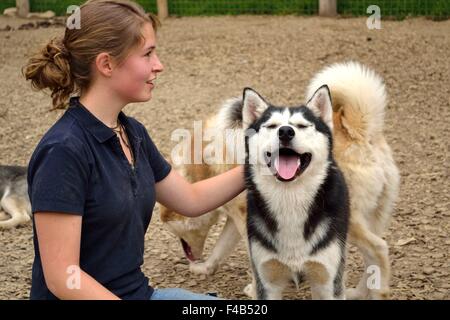 Teens cuddling Husky Stock Photo - Alamy
