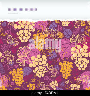 Sweet grape vines horizontal seamless pattern background border Stock Photo - Alamy