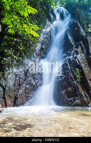 Natural water stream at deep of tropical forest Stock Photo - Alamy